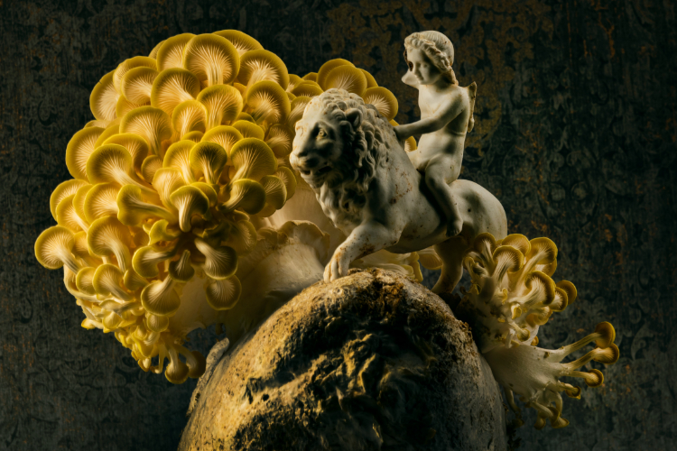 6. Januar 2026 - Das FotoPortal